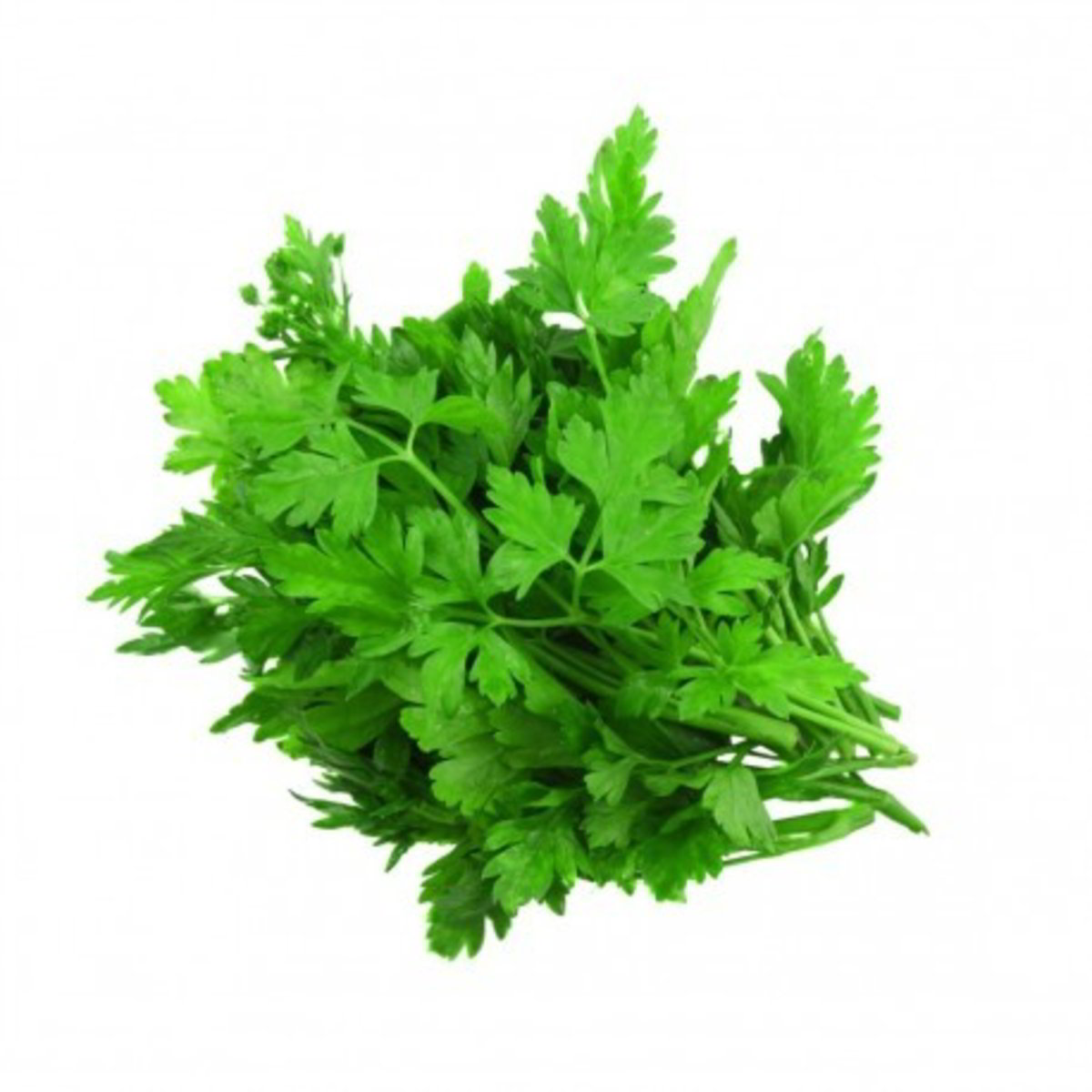 PREZZEMOLO GR. 500 - l'ecommerce secondo Iper Tosano