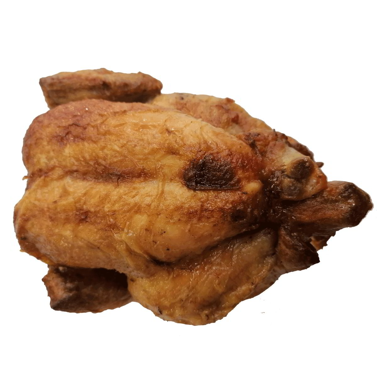 POLLO SPIEDO EXTRA T.A E-COMM GR. 800/900 CIRCA - l'ecommerce secondo ...