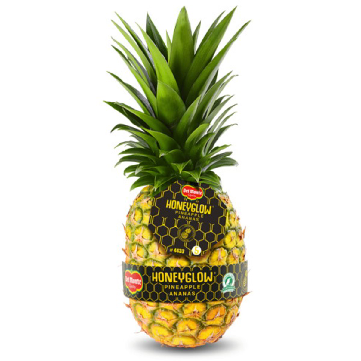 ANANAS MATURATA IN PIANTA DEL MONTE KG.1.80 - l'ecommerce secondo Iper ...