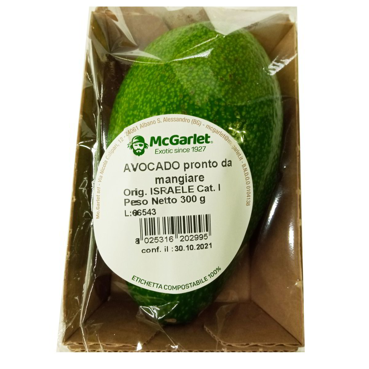 AVOCADO MATURO MC.GARLET GR. 300 - l'ecommerce secondo Iper Tosano