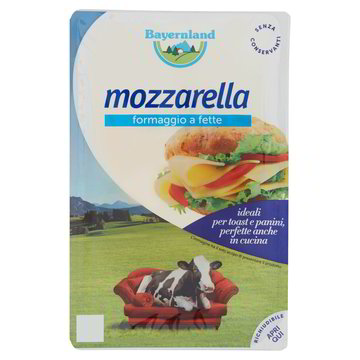 MOZZARELLA FORMAGGIO A FETTE BAYERNLAND GR. 400 - l'ecommerce secondo ...